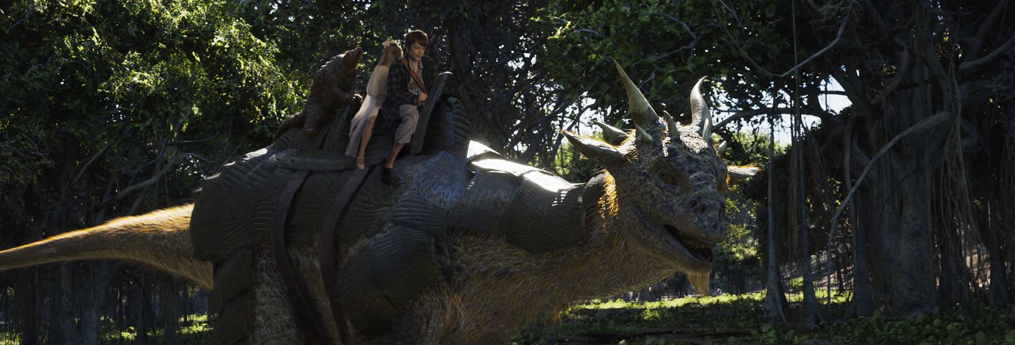 The Secret Kingdom | Twelve Oaks Pictures